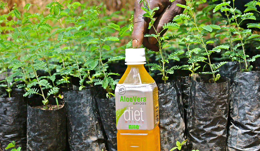 Aloa Vera - Best Cellars